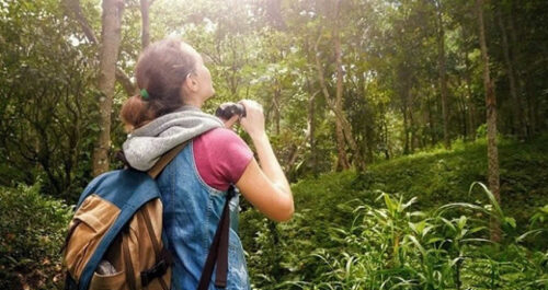 Ucayali Region | Peru Tour Guide